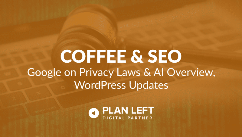Google on Privacy Laws & AI Overview, WordPress Updates - Plan Left